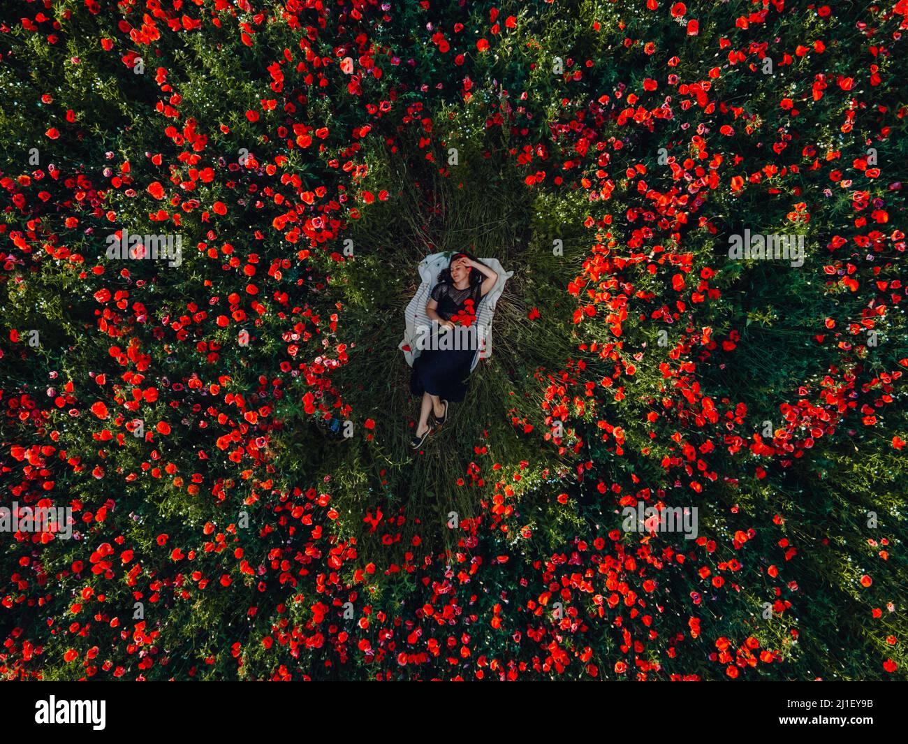 Aerial view directly above gentle hi-res stock photography and images ...