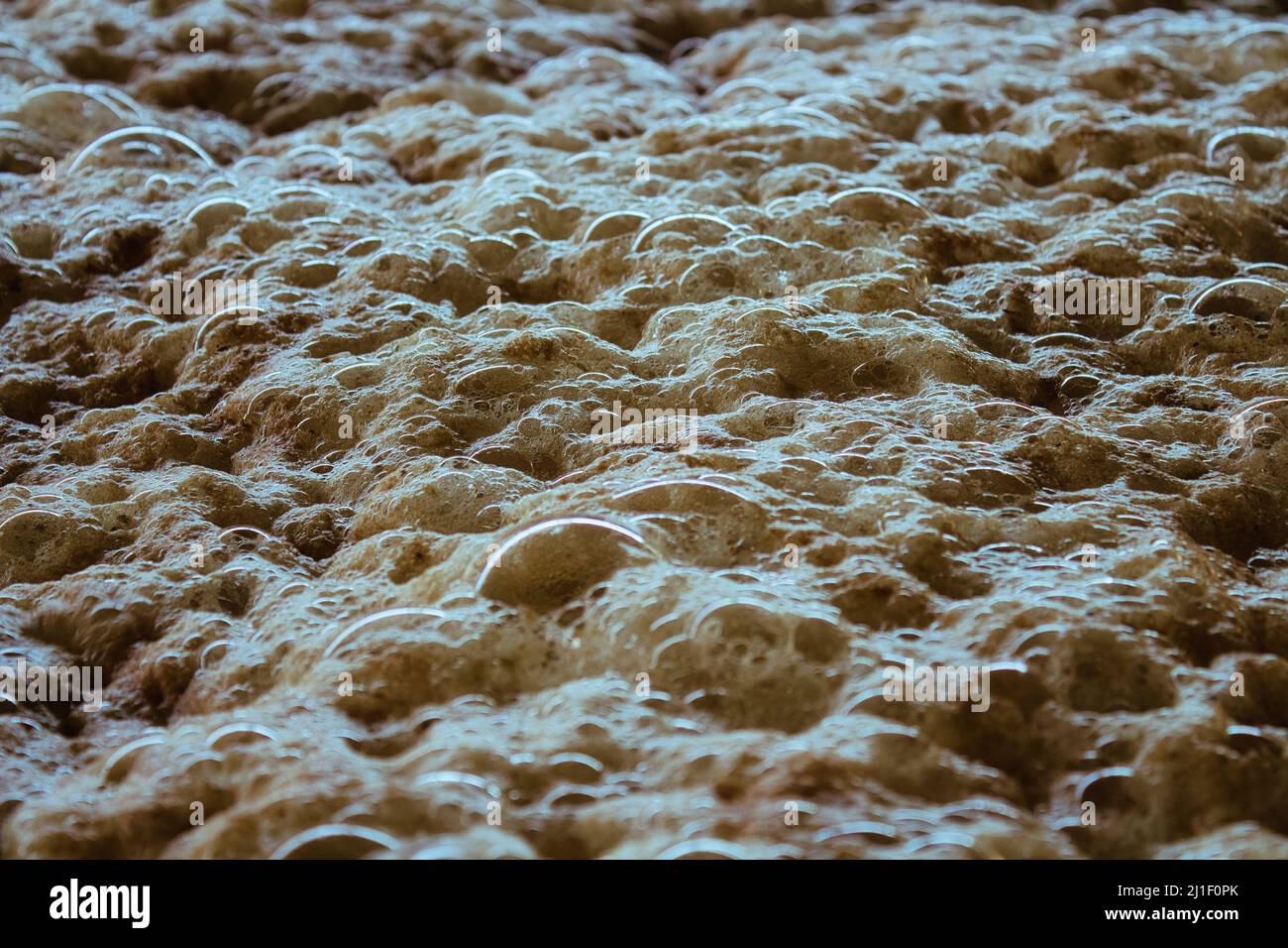 Agave fermentation process hi-res stock photography and images - Alamy