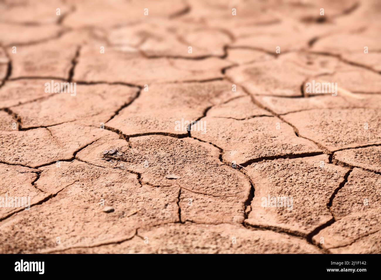 Dried mud surface - dry riverbed background. Drought in Morocco Stock ...
