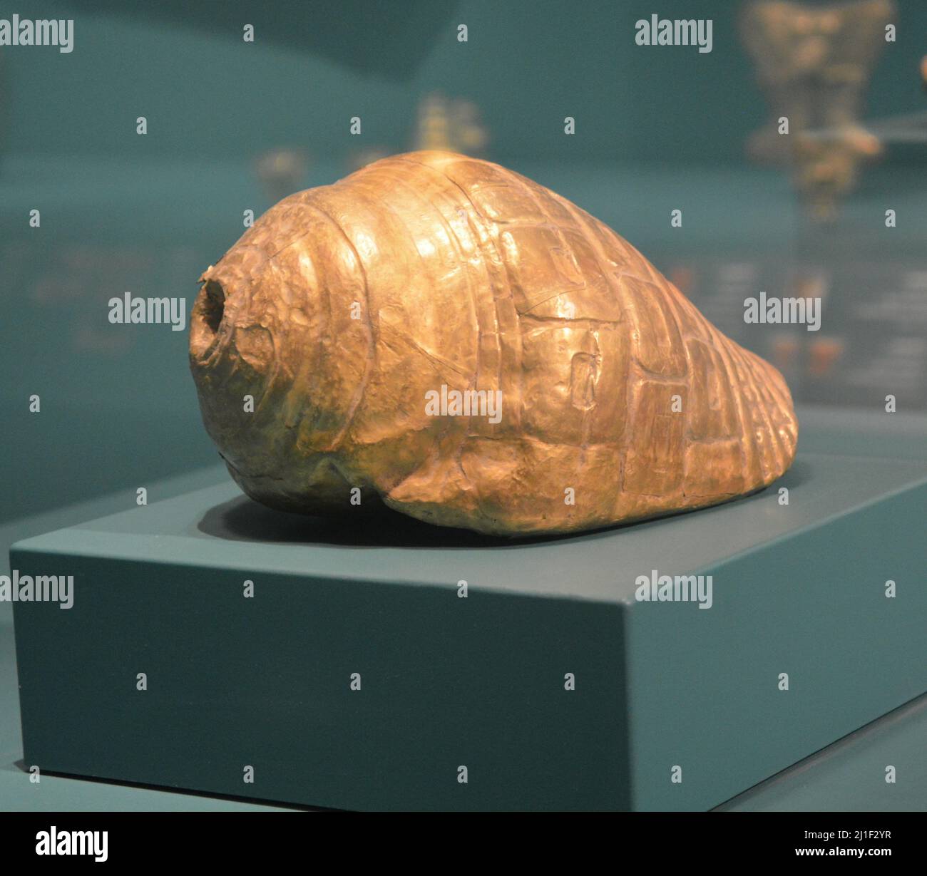 Precolumbian art in Marine shells. Museum of Houston Texas Stock Photo ...