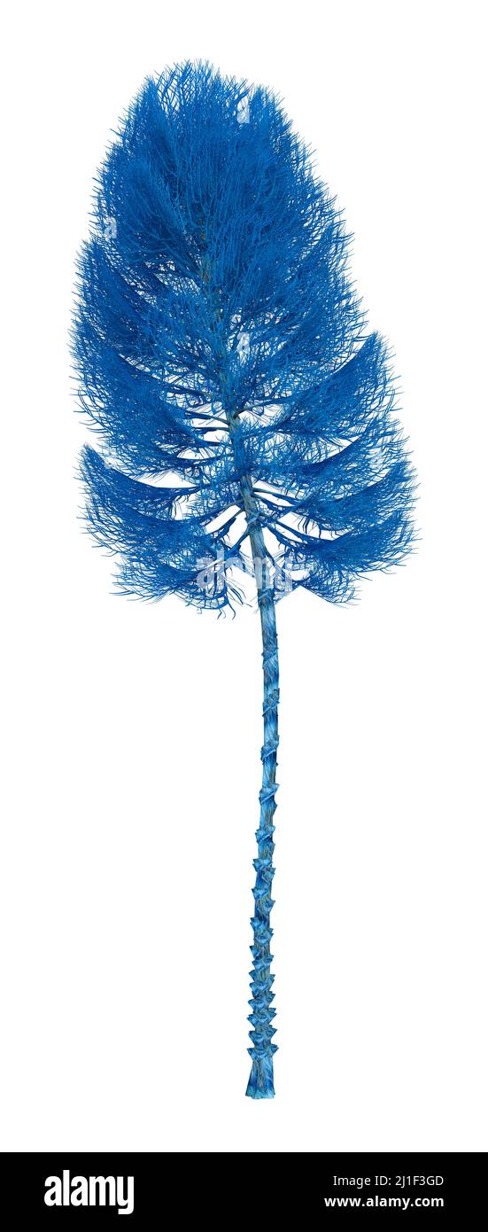 3D rendering of a blue fantasy alien tree isolated on white background ...