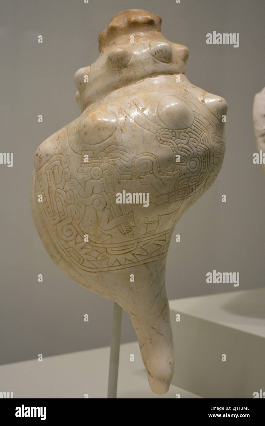 Maya sea shells hi-res stock photography and images - Alamy