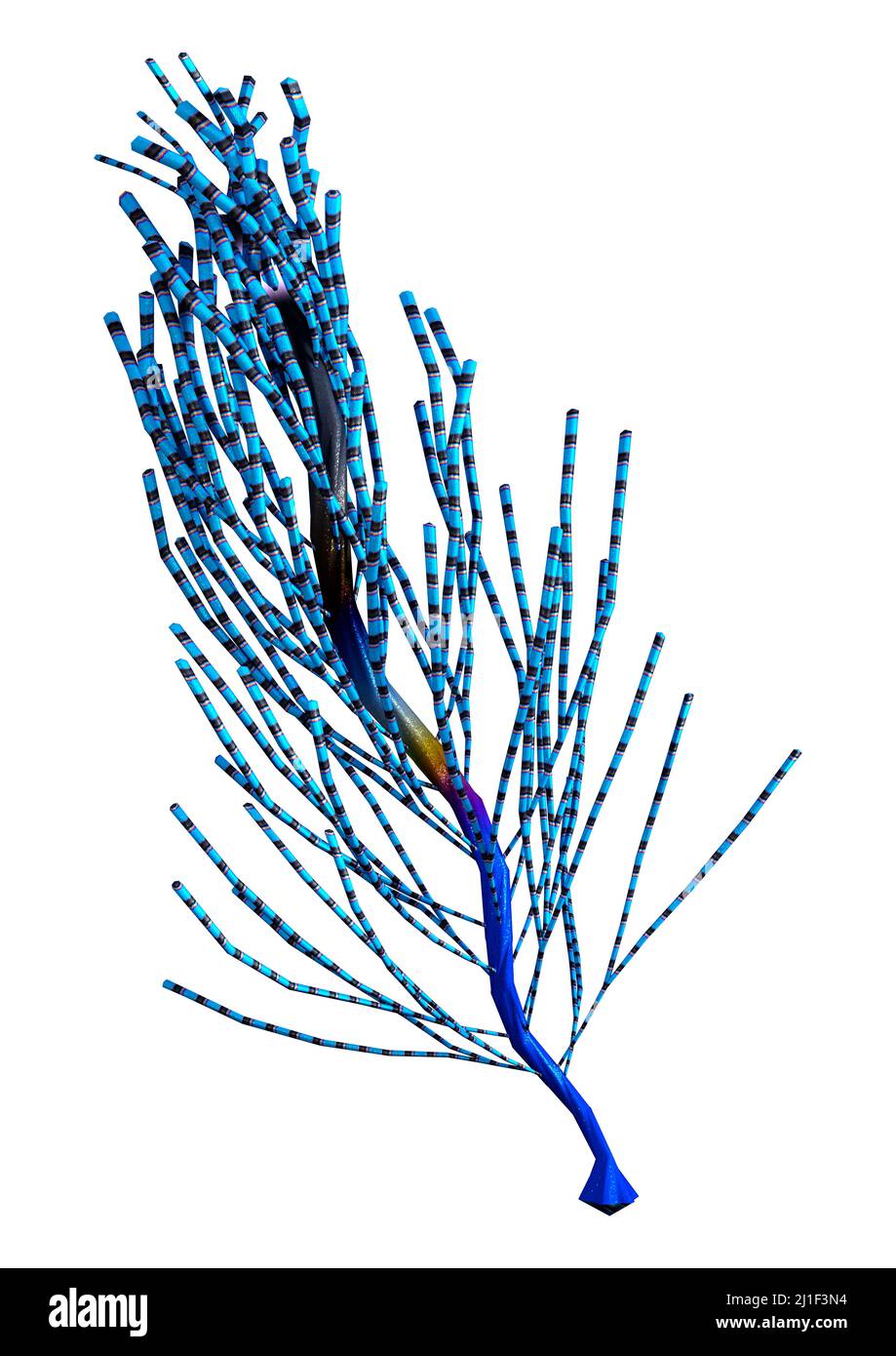 3D rendering of a blue fantasy alien plant isolated on white background ...