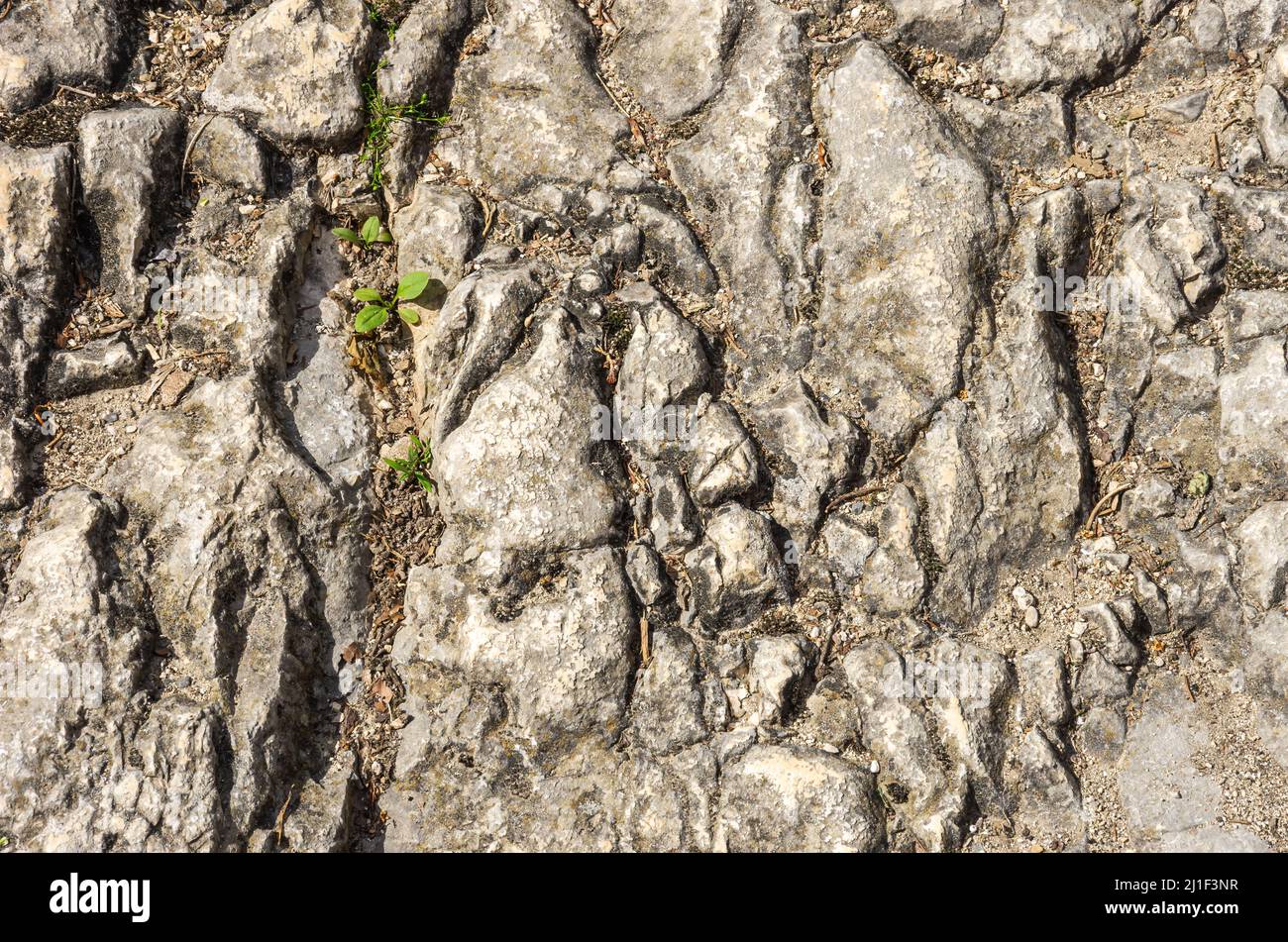 Fractured surface of an outcropping of rock, background, pattern ...