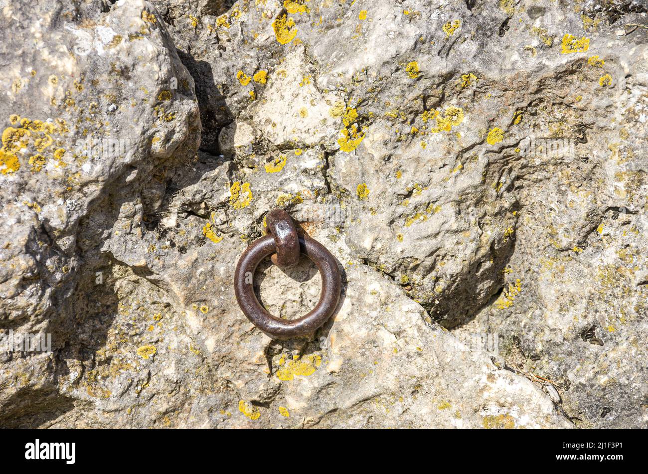 Old iron ring in an ancient castle wall for fixing something to Stock ...
