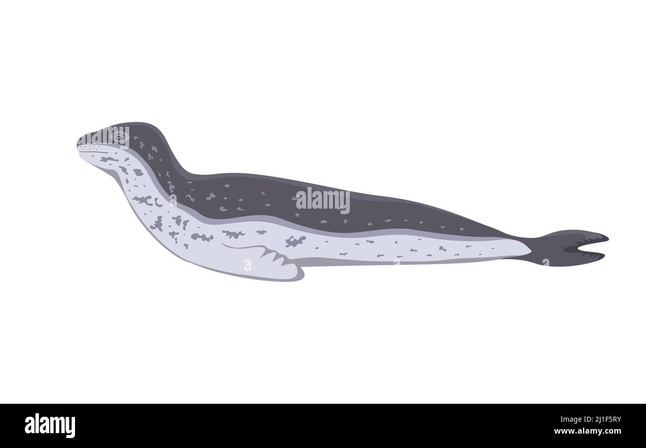 Mammal north pole Cut Out Stock Images & Pictures - Alamy