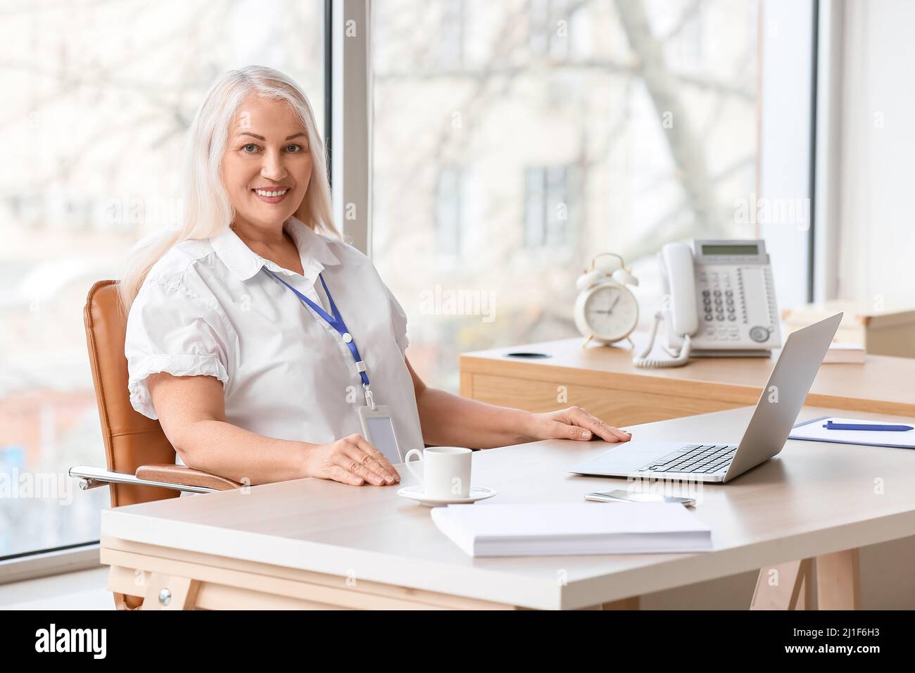 Mature secretary working in hi-res stock photography and images - Alamy