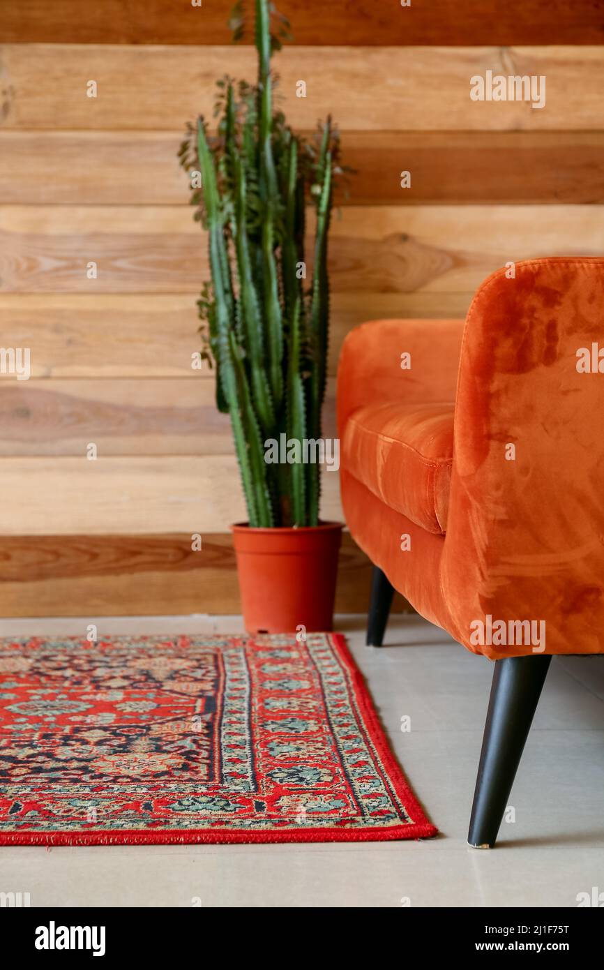 Red sofa with cactus and carpet near wooden wall Stock Photo - Alamy