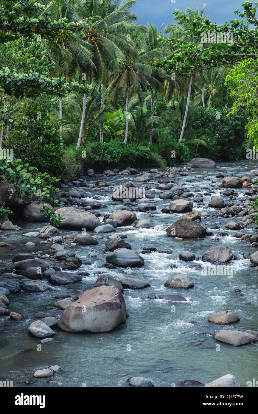 Beautiful river with stones and palm trees on the waterside Stock Photo ...