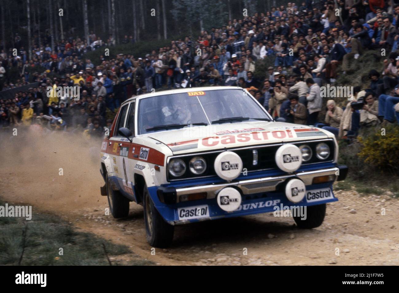 Timo Salonen (FIN) Seppo Harjanne (FIN) Datsun Violet GT Gr4 Stock ...