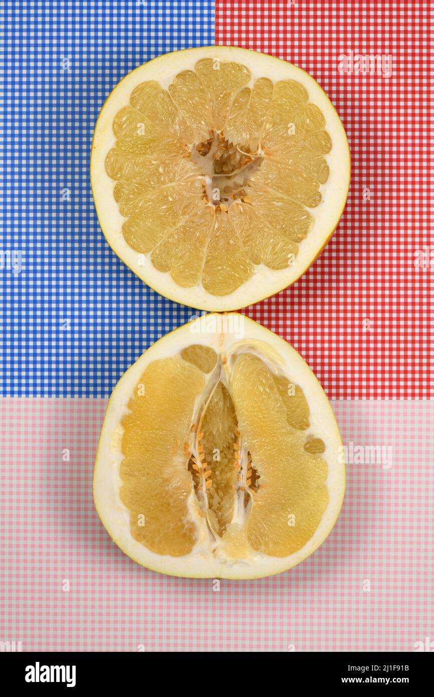 Perfectly retouched pomelo on a red cage background. High resolution ...