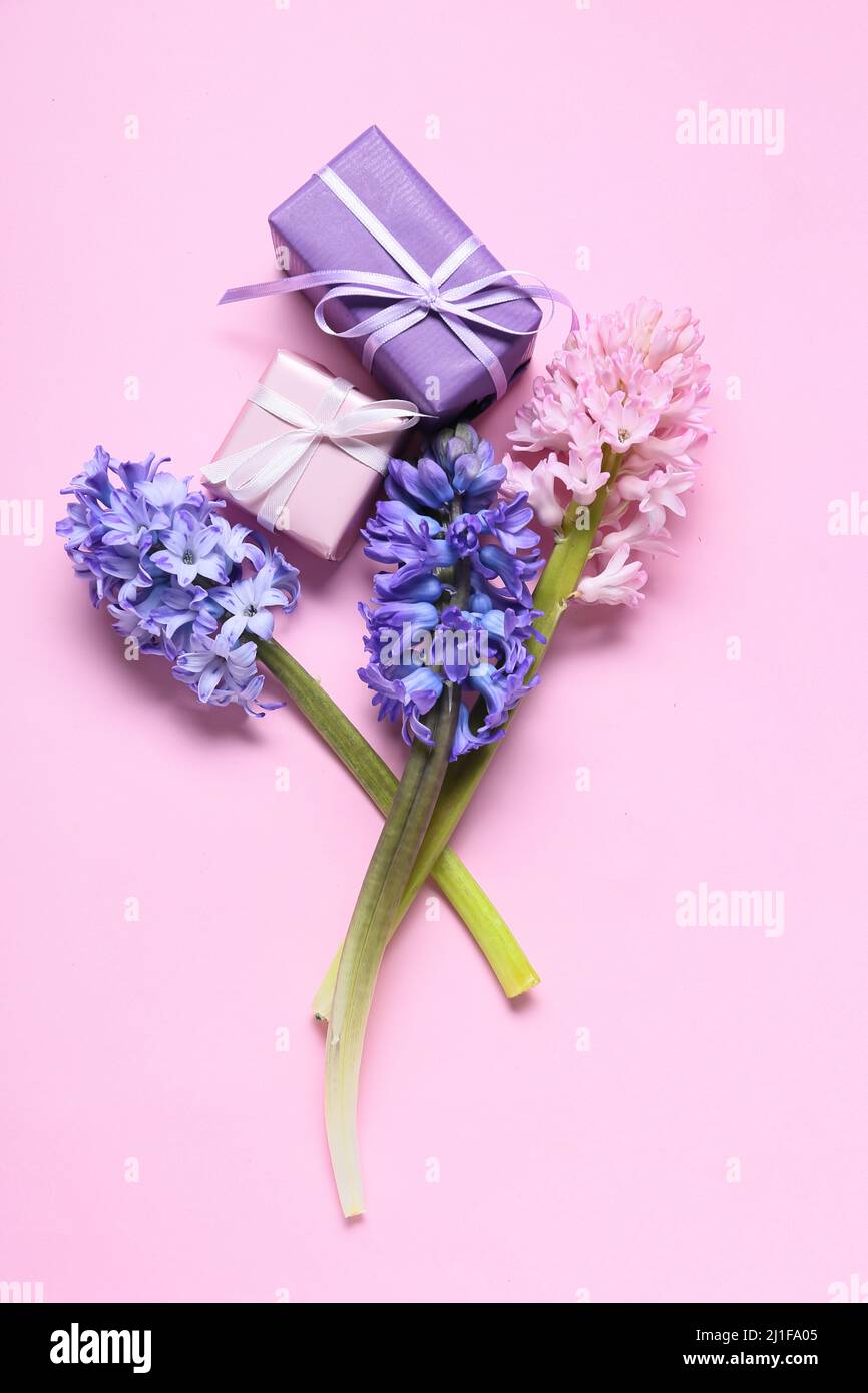 Beautiful hyacinth flowers and gift boxes on pink background Stock ...