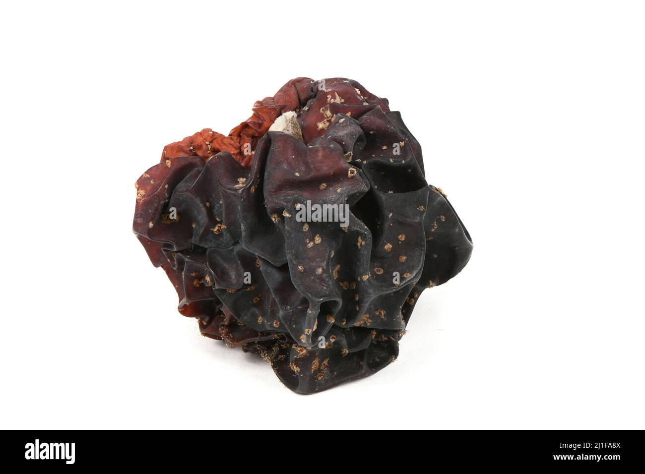 Rotten apple isolated on white background. High resolution photo. Full ...