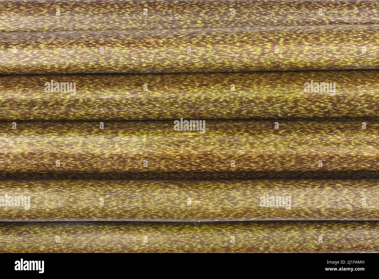 Plant stem texture hi-res stock photography and images - Alamy