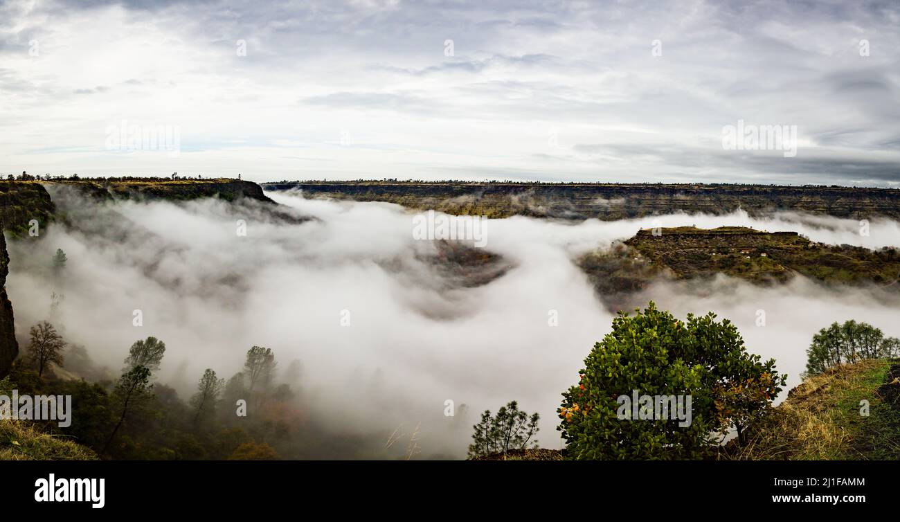 An aerial view of green forest in fog Stock Photo - Alamy