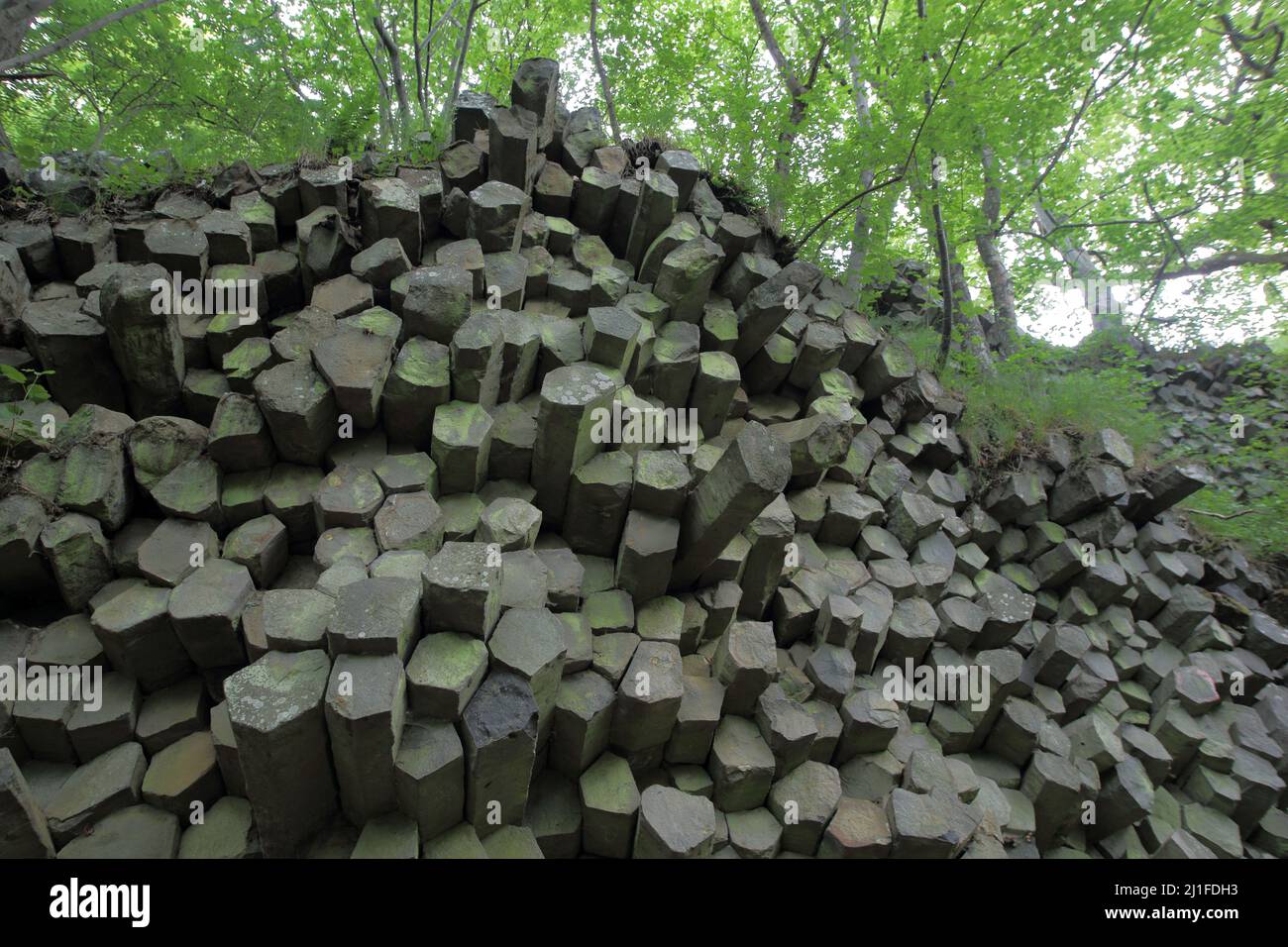 Basalt prism wall at Gangolfsberg in the Rhoen, Bavaria, Germany Stock ...