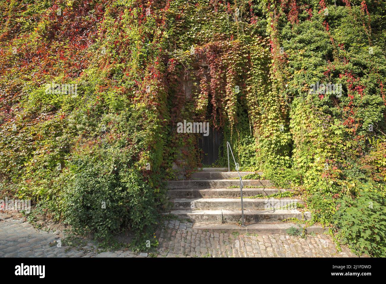 Overgrown castles hi-res stock photography and images - Alamy