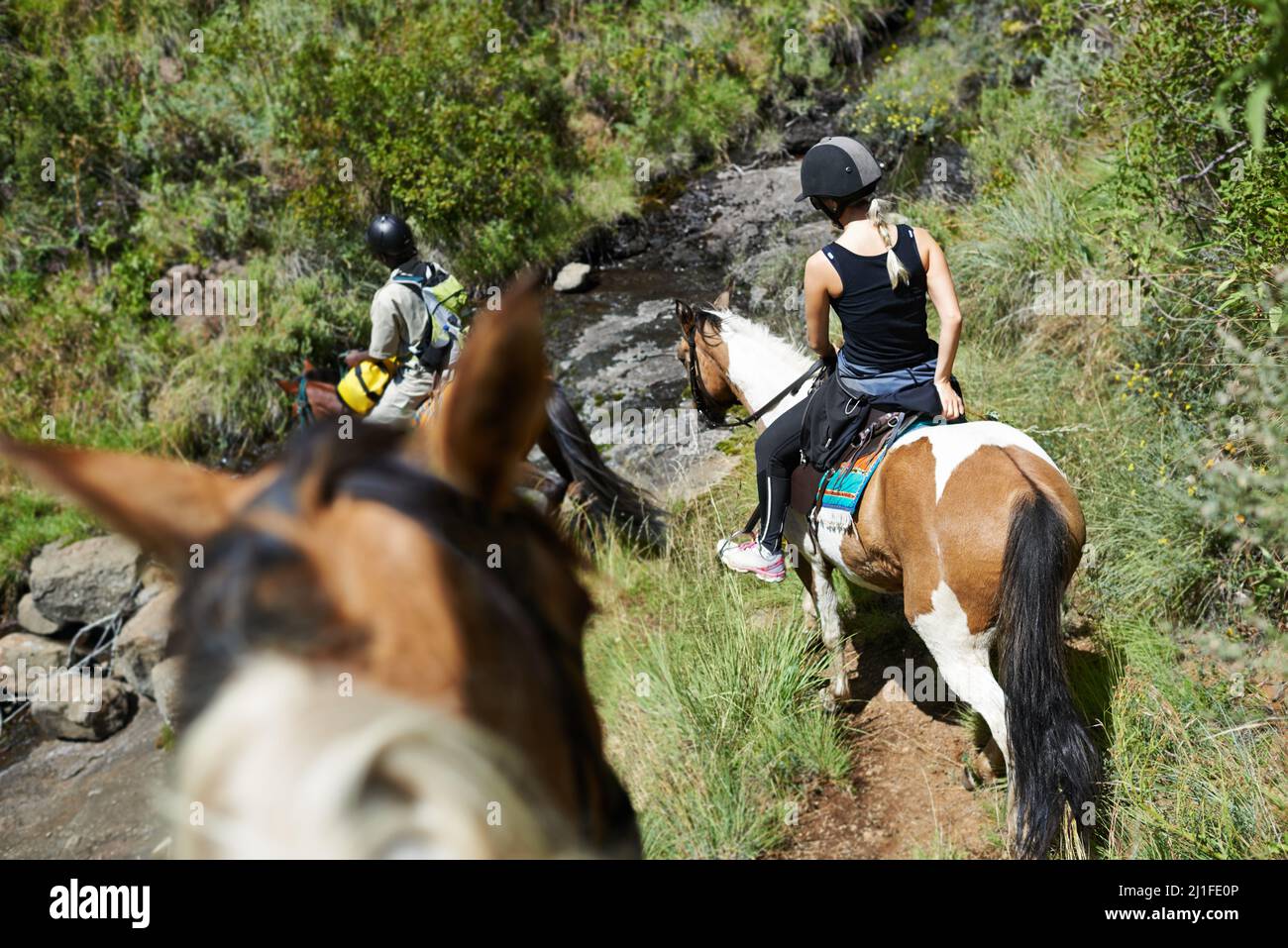 Horse riding in the outback. A young woman riding a horse Stock Photo ...