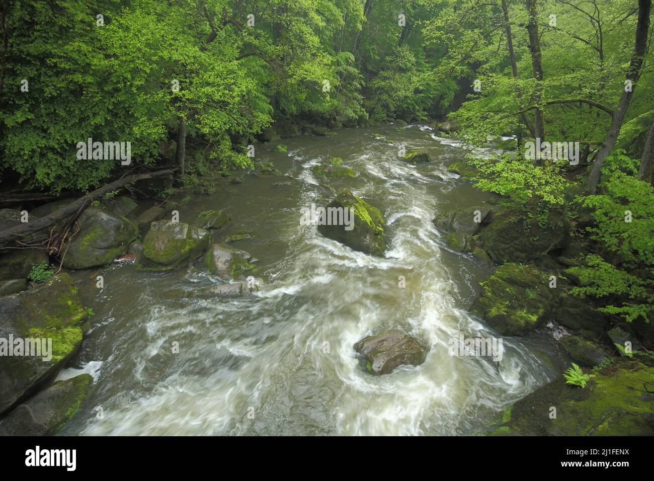 Irreler waterfalls hi-res stock photography and images - Alamy