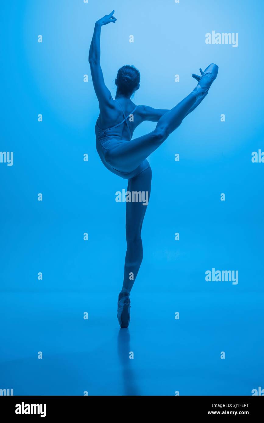 Back view of young and graceful ballet dancer isolated on blue studio ...