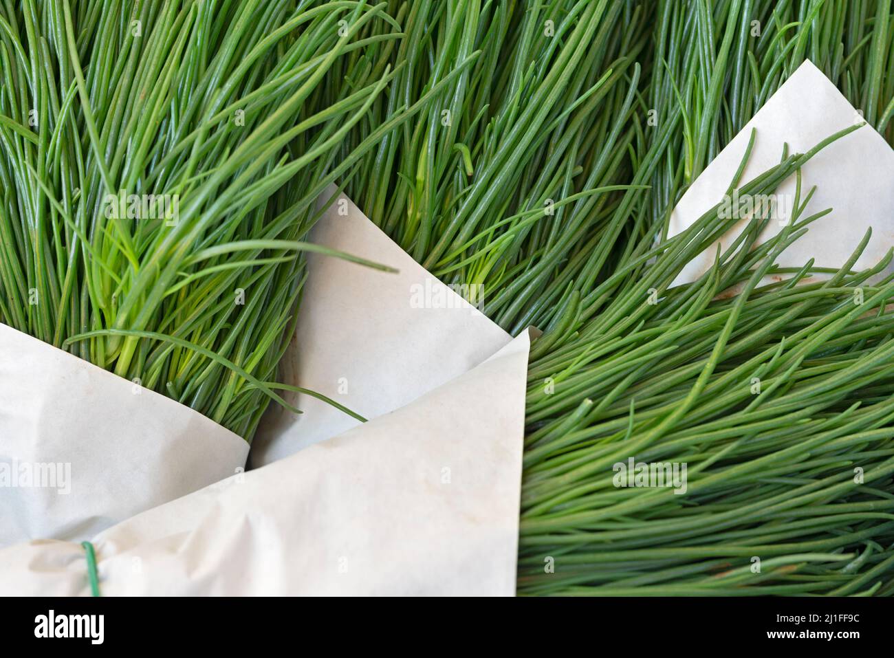 Saltwort or Friar's Beard Vegetable, Also Known as Agretti Stock Photo ...