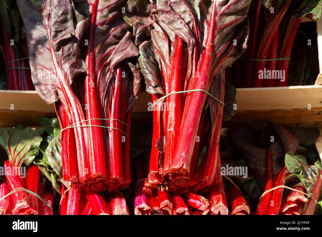 Italy, Stall Market, Rhubarb Chard, Swiss Chard Stock Photo - Alamy