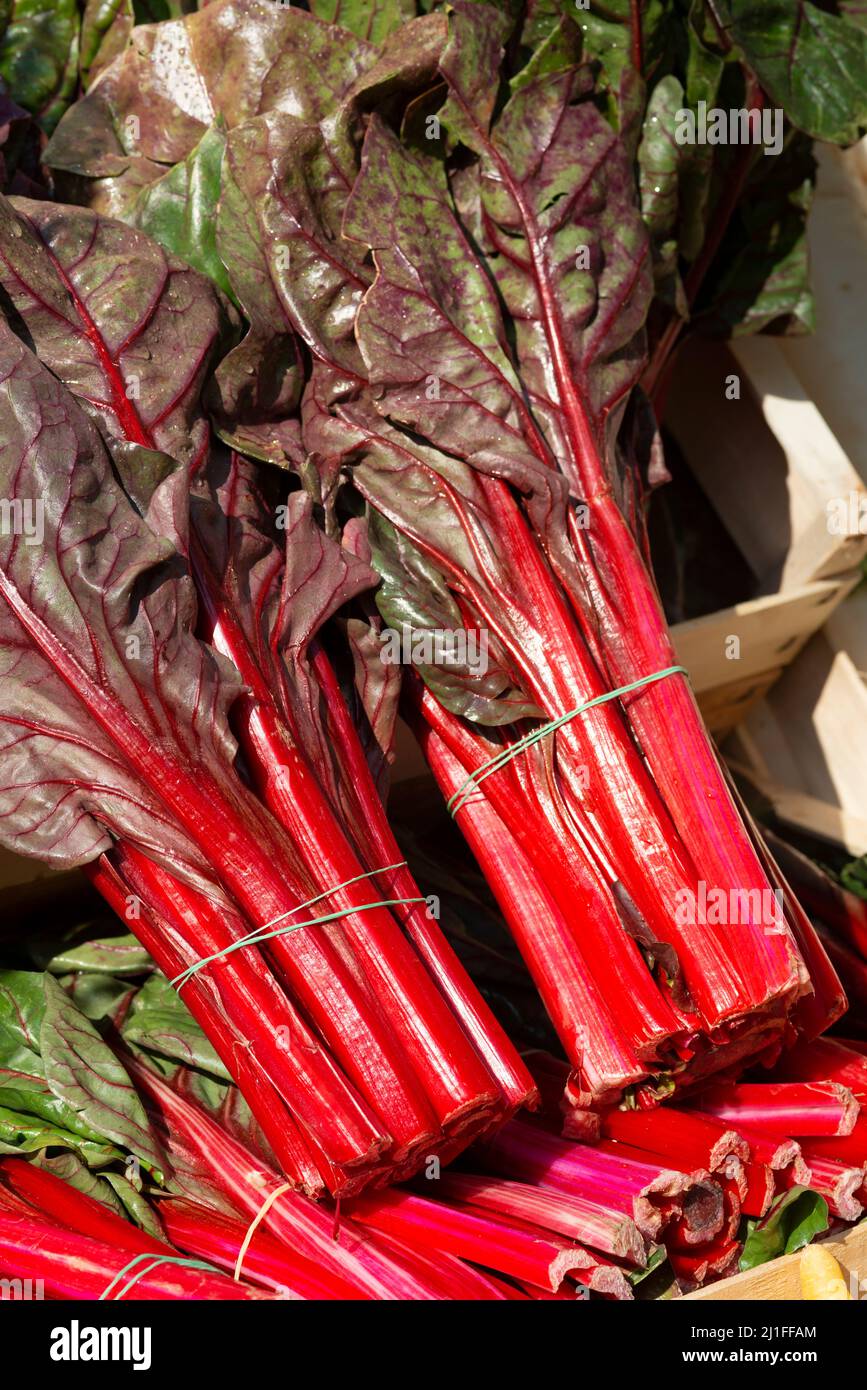 Italy, Stall Market, Rhubarb Chard, Swiss Chard Stock Photo - Alamy