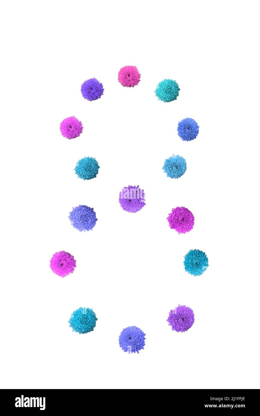 Multicolored flowers laid out in figure eight shape Stock Photo - Alamy