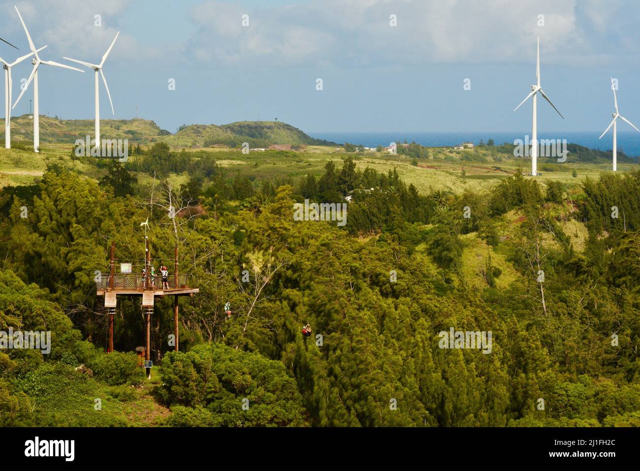 Elevated wooden platform in tropical jungle trees overlooking ocean and ...