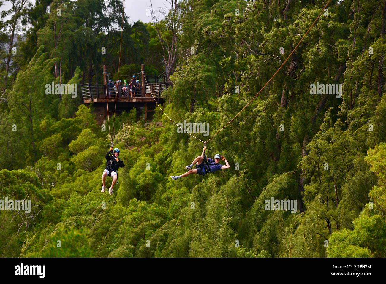 Tour participants gliding down zipline from elevated wooden platform in ...