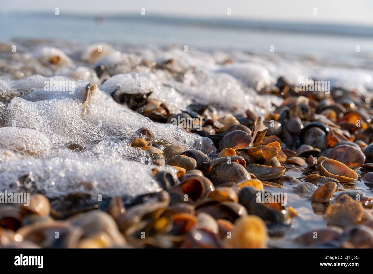 Sea waves washing up over shells Stock Photo - Alamy