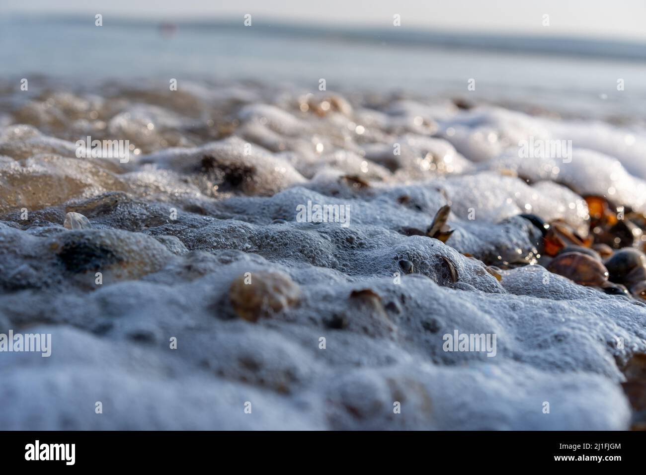 Waves over washed up sea shells Stock Photo - Alamy