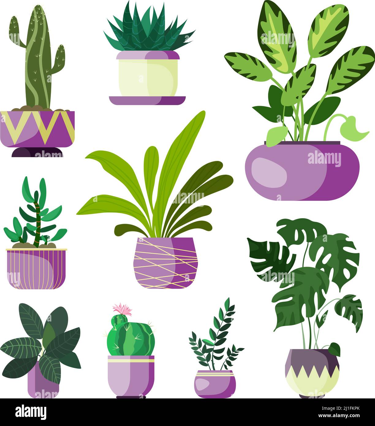 Flowers in pots set. Collection of houseplants. Can be used for topics ...
