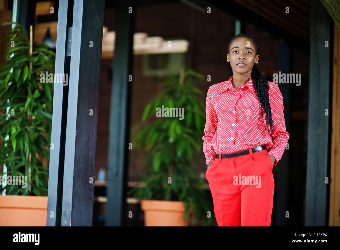 Pretty braids business african american lady bright bossy person ...