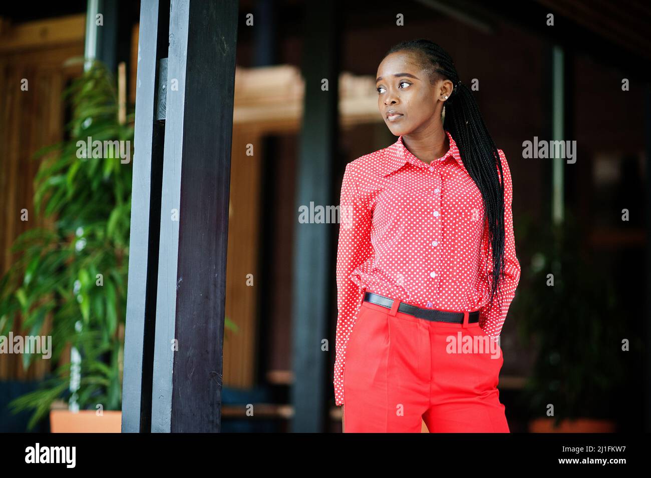 Pretty braids business african american lady bright bossy person ...