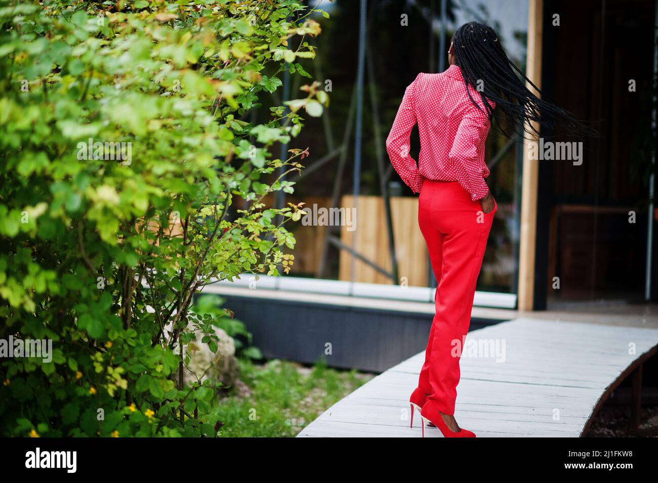 Pretty braids business african american lady bright bossy person ...