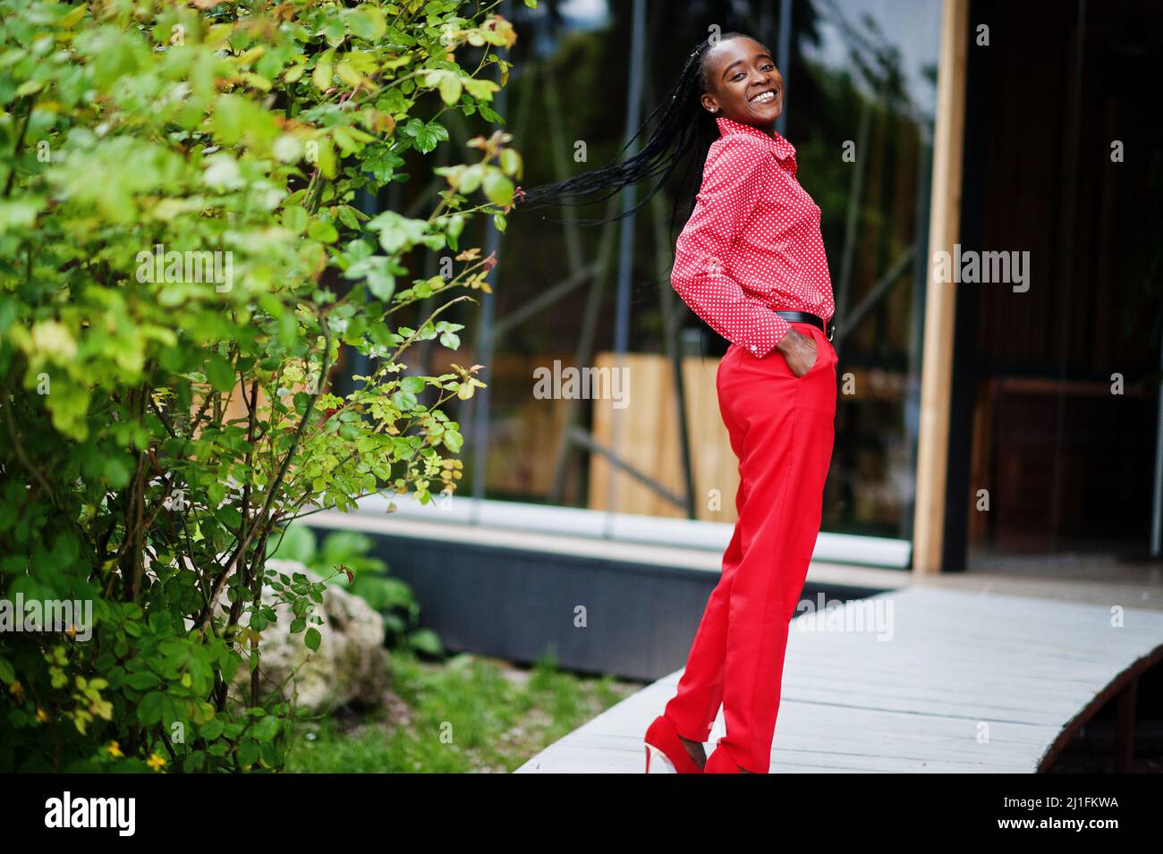 Pretty braids business african american lady bright bossy person ...