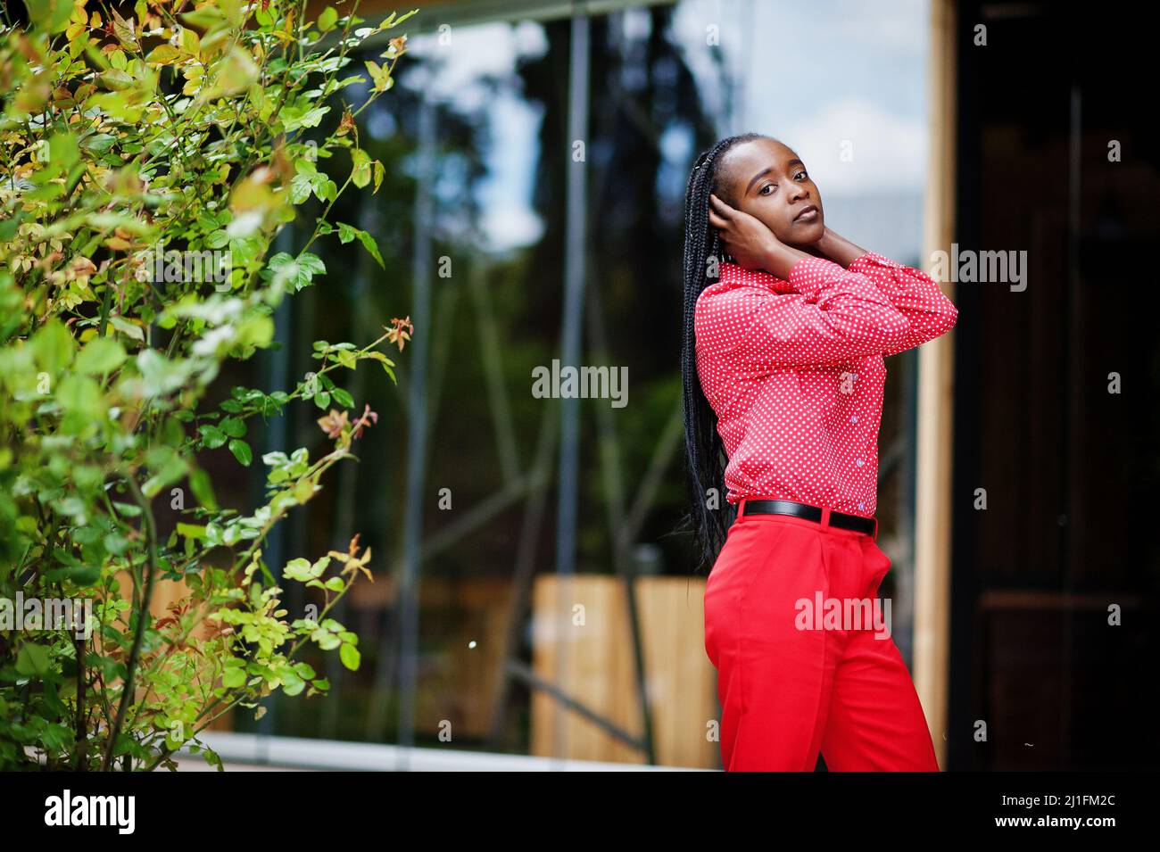 Pretty braids business african american lady bright bossy person ...