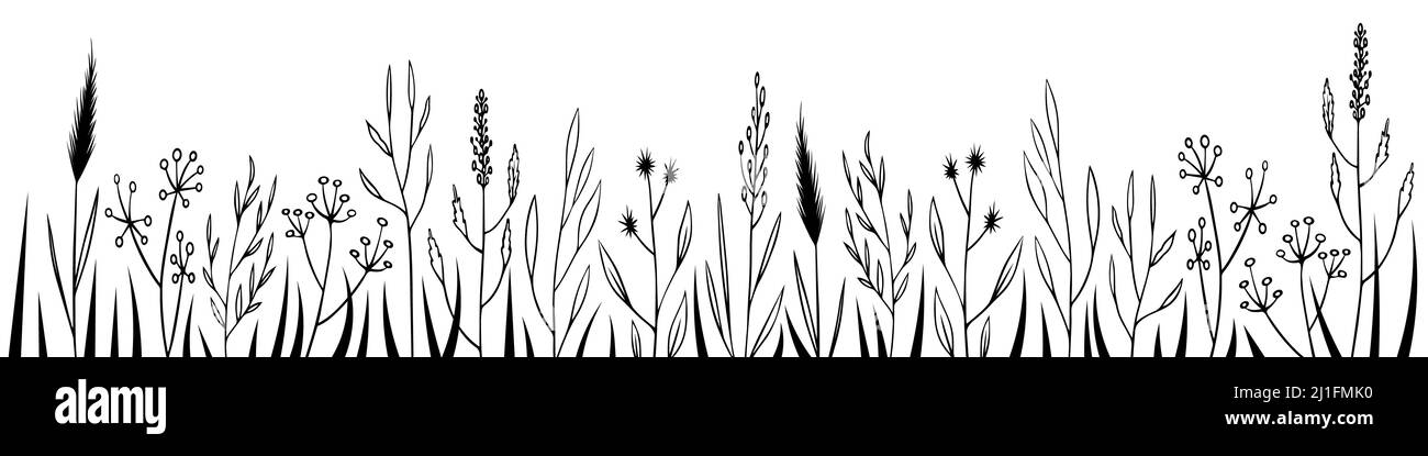 Floral horizontal border. Hand drawn weed grass on white background ...
