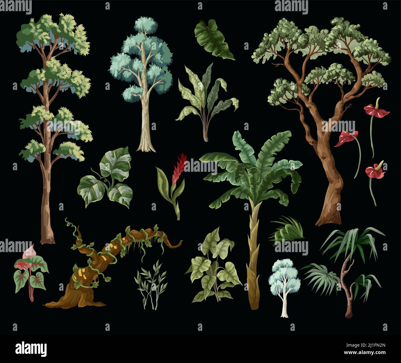 Jungle trees and tropical plant isolated. Vector Stock Vector Image ...