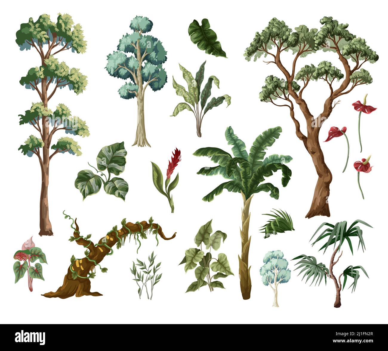 Jungle beauty Cut Out Stock Images & Pictures - Alamy