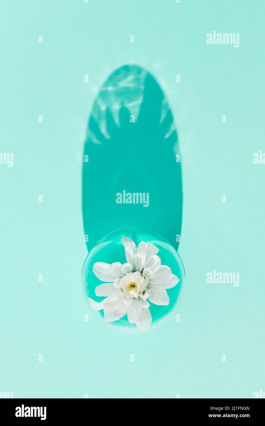 Creative flat lay composition done with white spring blossom inside the ...