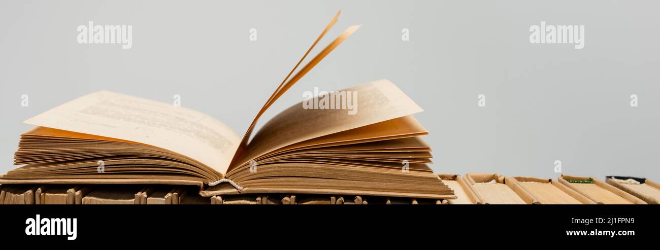 collection of paper books isolated on grey, banner Stock Photo - Alamy