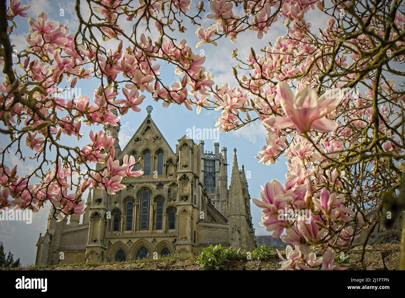 UK, Cambridgeshire - Ely Cathedral Stock Photo - Alamy
