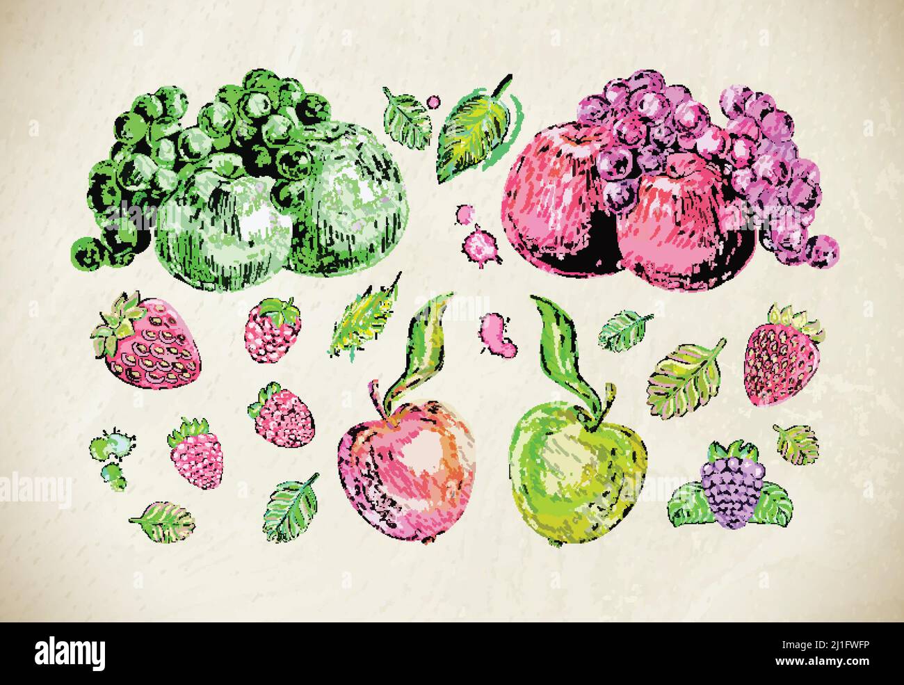 Hand drawn illustrations of fruits, berries with green leaves. Fruits ...