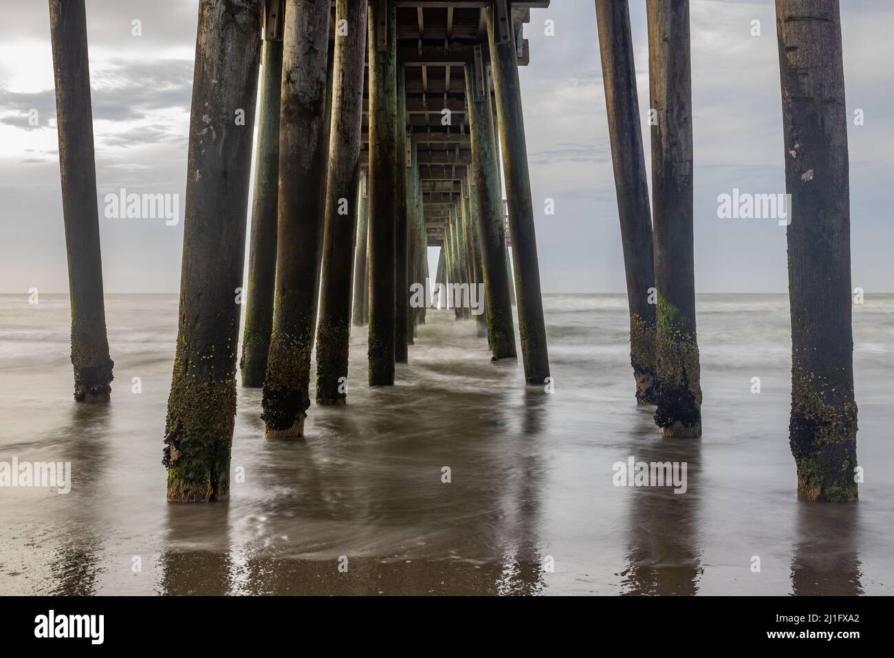 A beautiful shot of rows of wooden post foundation below a pier at a ...