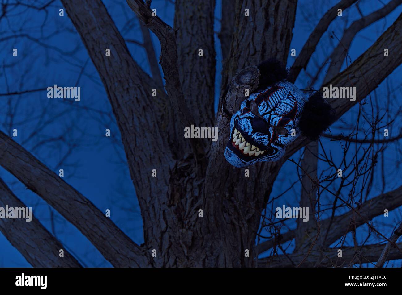 Scary tree face monster hi-res stock photography and images - Alamy