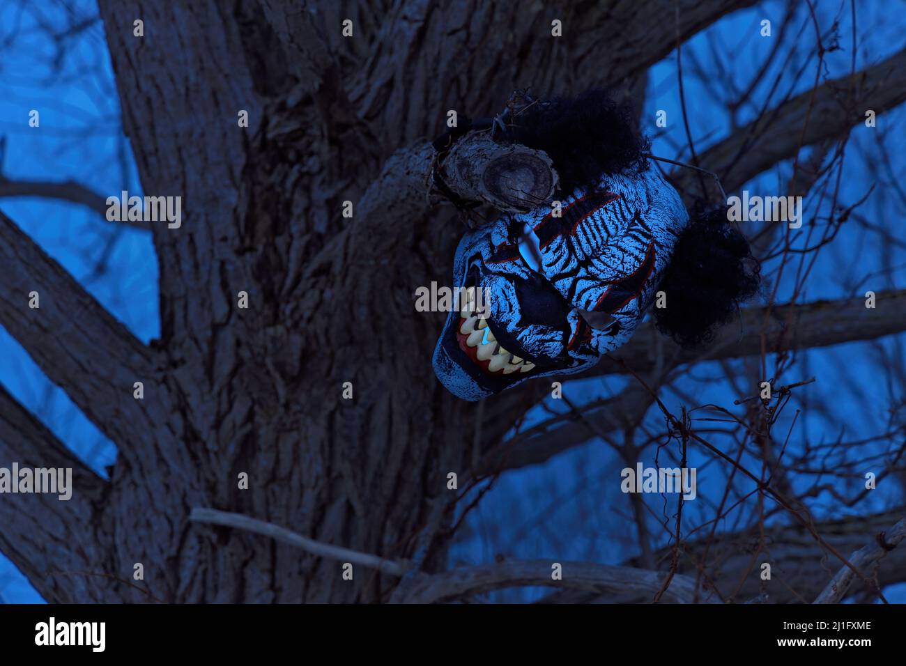 Terrifying Scary Clown Mask with Large Fangs in a Spooky Tree with at ...