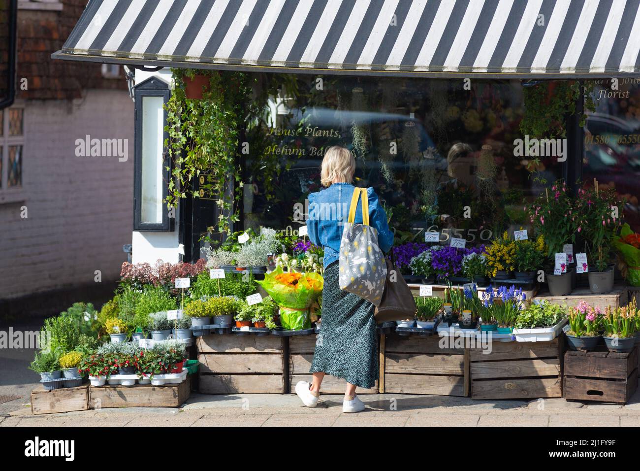 Florist window display hi-res stock photography and images - Alamy