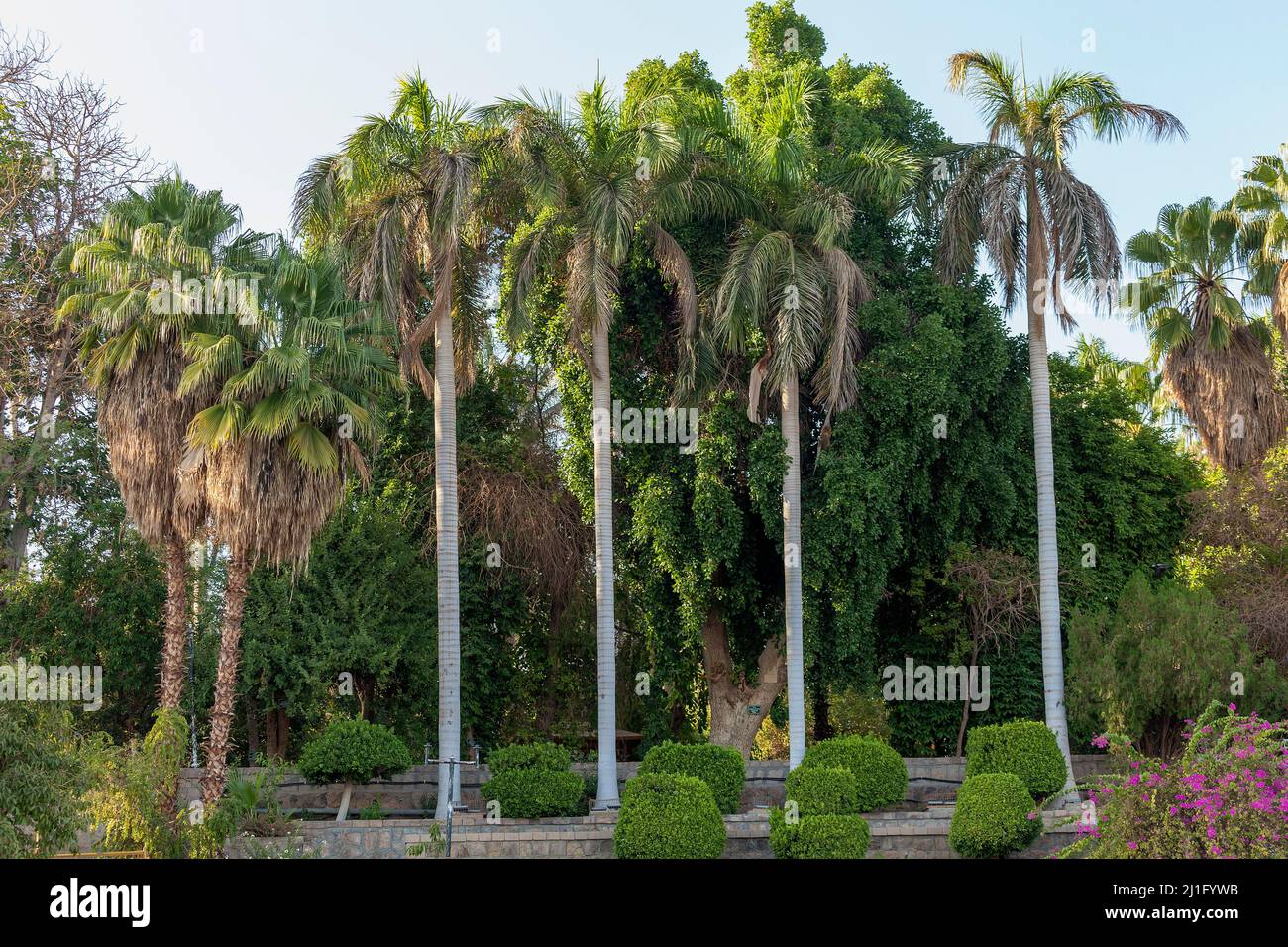 Aswan botanical garden hi-res stock photography and images - Alamy